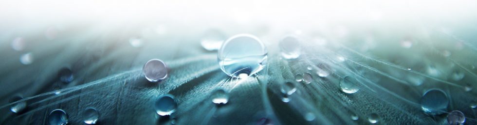 Exergyn® | A CLEANER WORLD powered by Exergyn